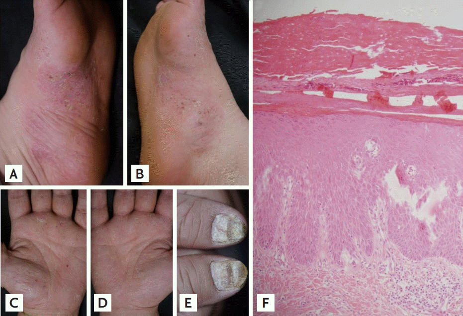 The Korean Journal of Internal Medicine
