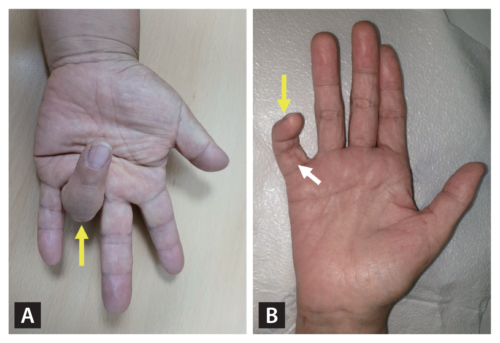 The Korean Journal of Internal Medicine