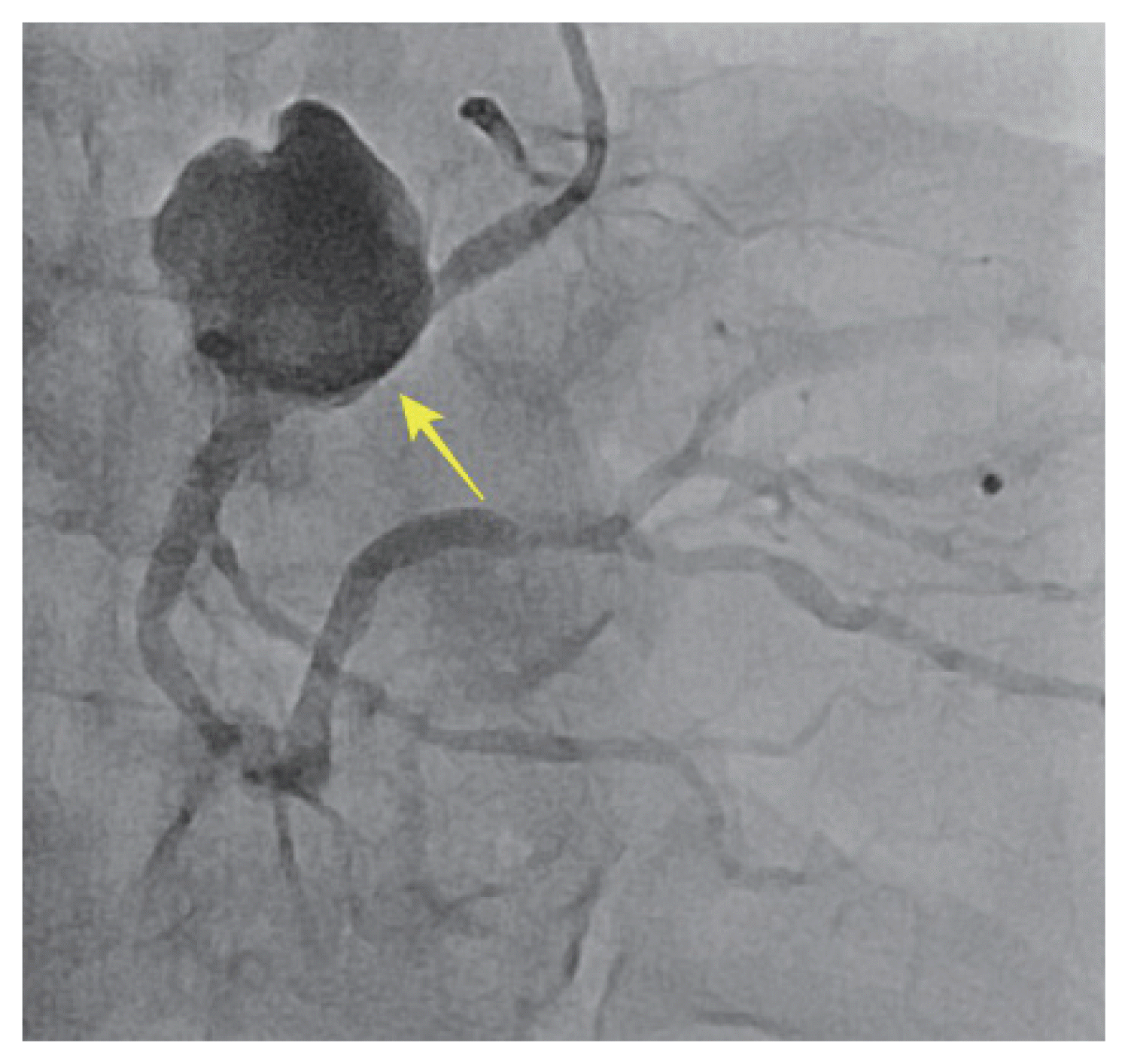 The Korean Journal of Internal Medicine