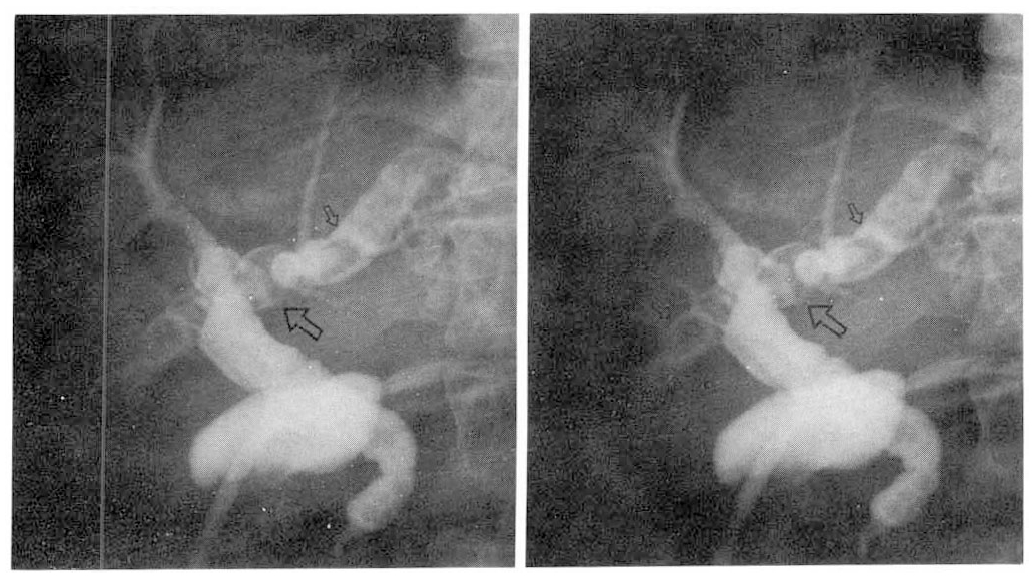 The Korean Journal of Internal Medicine